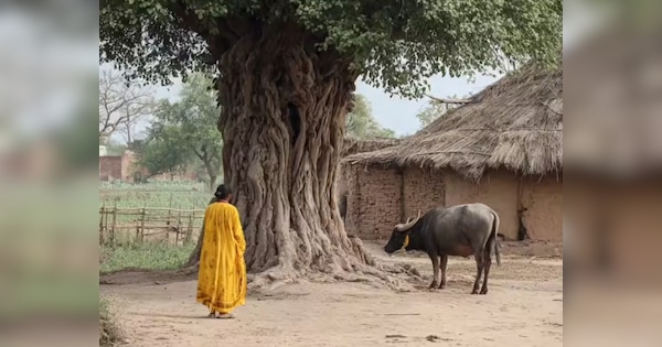 Banda Muslim Woman plead cm yogi Adityanath to provide buffalo from ...
