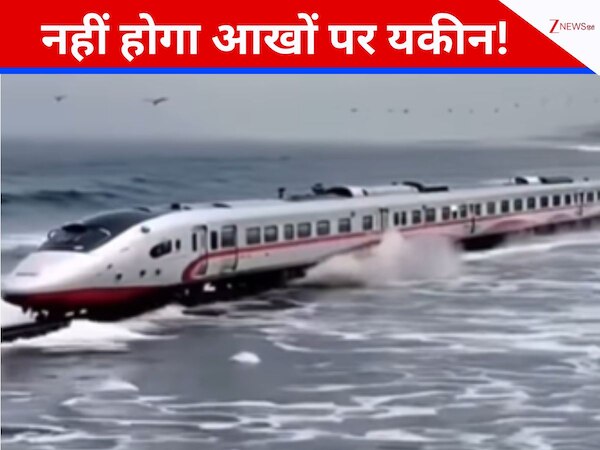 bird flight line train runs on sea water ferry viral shocking and ...