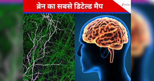 Have You ever Seen most detailed map of the brain ever created ...