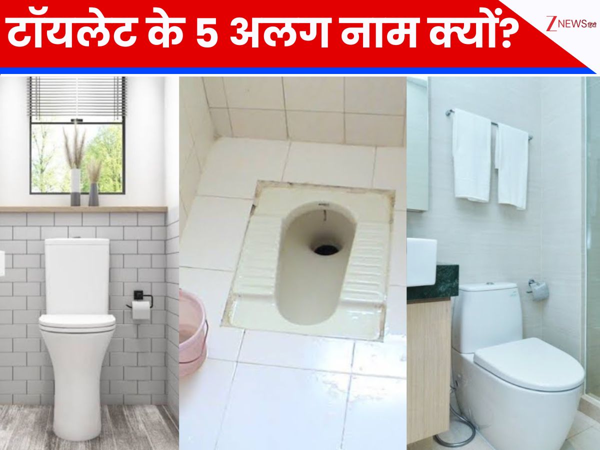 Different Names for Toilets History Behind Bathroom Washroom Restroom ...