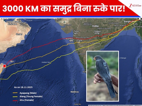IAS Supriya Sahu x post bird Amur Falcons Migration 3000 Km Arabian Sea ...