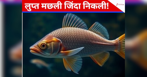 Moema Claudia fish believed to be extinct seen after 20 years in a pond ...