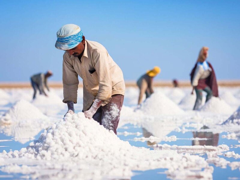 which state produces most salt in India Contributes 80 percent to the ...