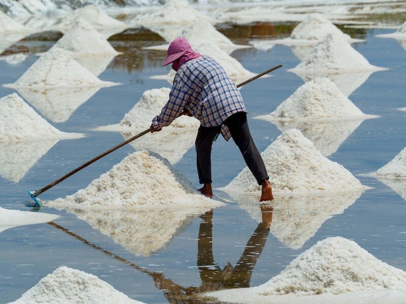 which state produces most salt in India Contributes 80 percent to the ...