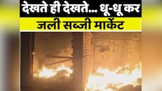 Latest News on JH Pakur | Read Breaking News on JH Pakur | Zee News Hindi