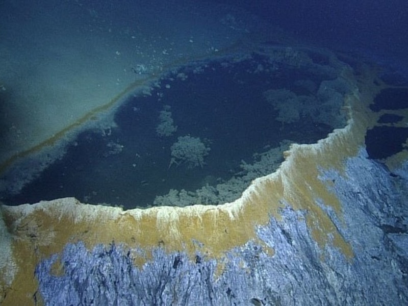 what is brine pools in deep waters like red sea and orca basin where ...