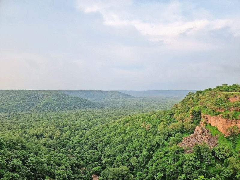 most largest forest in mp top 5 forestland how many area in madhya ...