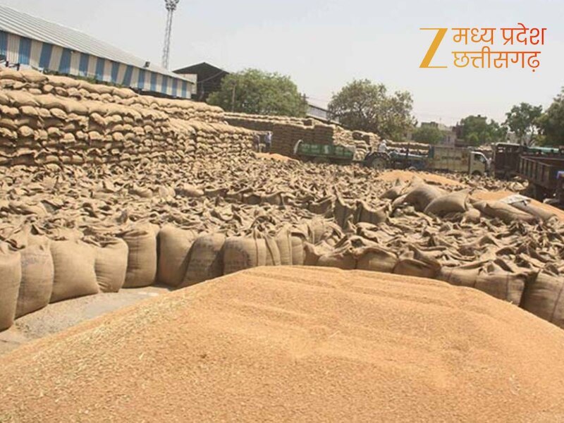 mp farmers good news govt will wheat purchase in mp msp rate of rs 2600 ...