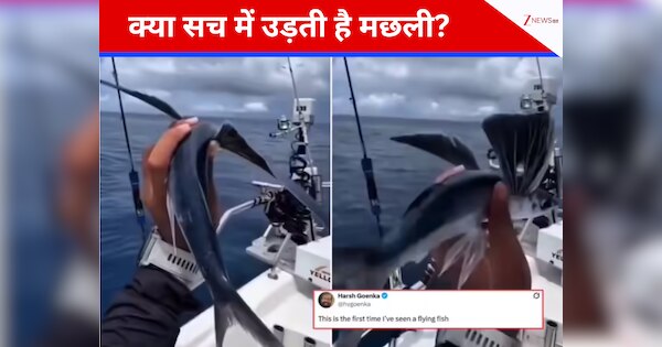 Harsh Goenka shared a video of a flying fish IFS officer revealed the ...