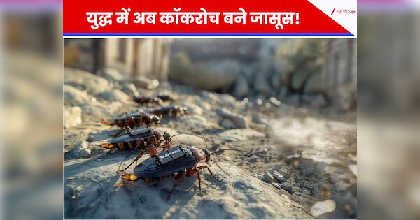 Cyborg Cockroach Army Germanys Wildest Defense Tech Revealed | युद्ध ...