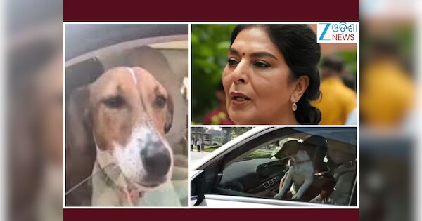 Renuka Chowdhury: କୁକୁରକୁ ନେଇ ସଂସଦ ଗଲେ ସାଂସଦ Congress MP Renuka ...