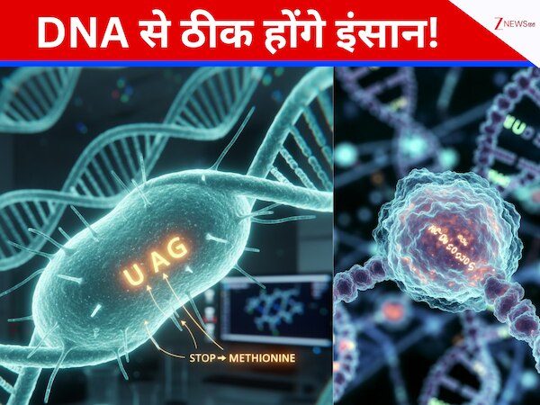 berkeley discovery microbe breaking genetic code uag codon flexibility ...