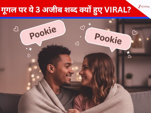 pookie nonce incel meaning most searched slang trending words 2025 ...