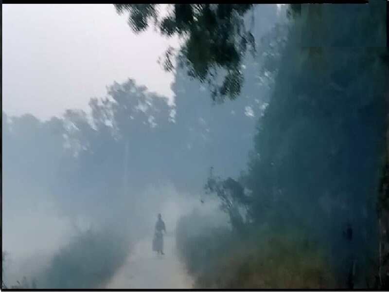 gorakhpur deoria varanasi weather update today 13 december 2025 cold wave alert imd fog ...