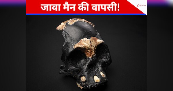 Netherlands returns java man homo erectus fossils to indonesia after ...