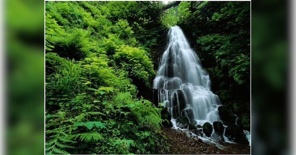 Explore these five beautiful waterfalls in uttar pradesh including ...