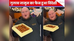 Gulab Jamun की ताज़ा खबरे हिन्दी में | ब्रेकिंग और लेटेस्ट न्यूज़ in ...