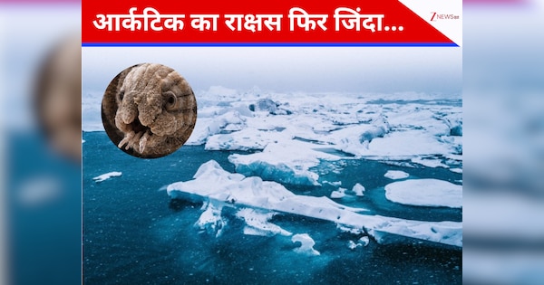 scientists in Siberia revives a 46000 year old frozen worm from ...