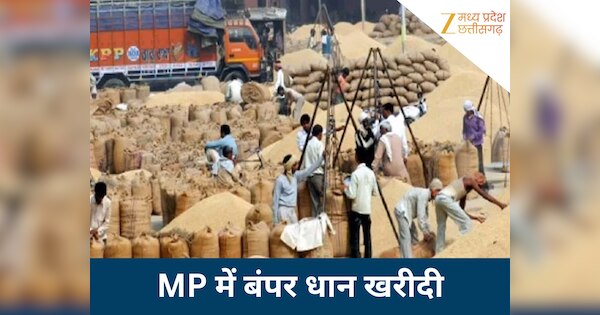mp govt record purchasing 43 lakh metric tons of paddy minimum support ...