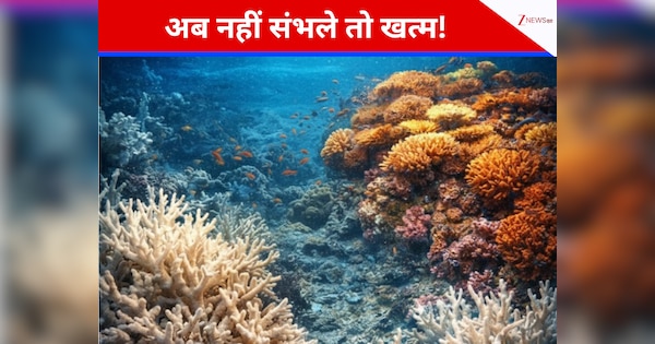 scientists warns that coral reef could collapse in 2026 big threat to ...