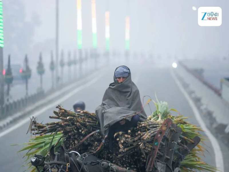 Weather Updates: ଆଗାମୀ ୨୪ ଘଣ୍ଟାରେ ବଢିବ ପ୍ରବଳ ଶୀତ || weather updates ...