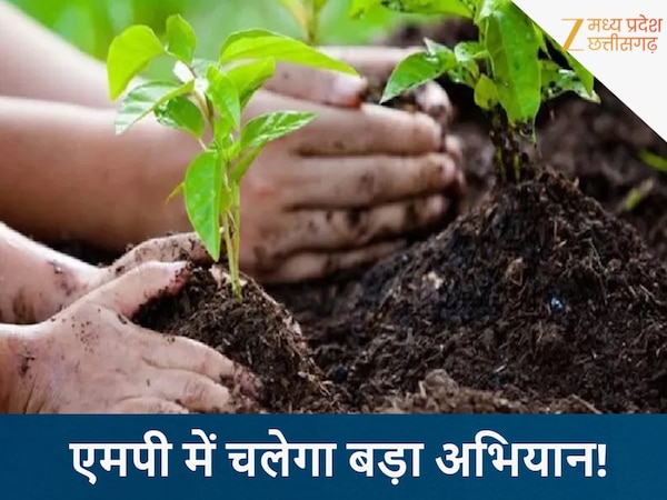 एमपी में नर्मदा किनारे लगाए जाएंगे 28 लाख औषधीय पौधे, ड्रॉन-सैटेलाइट से ...
