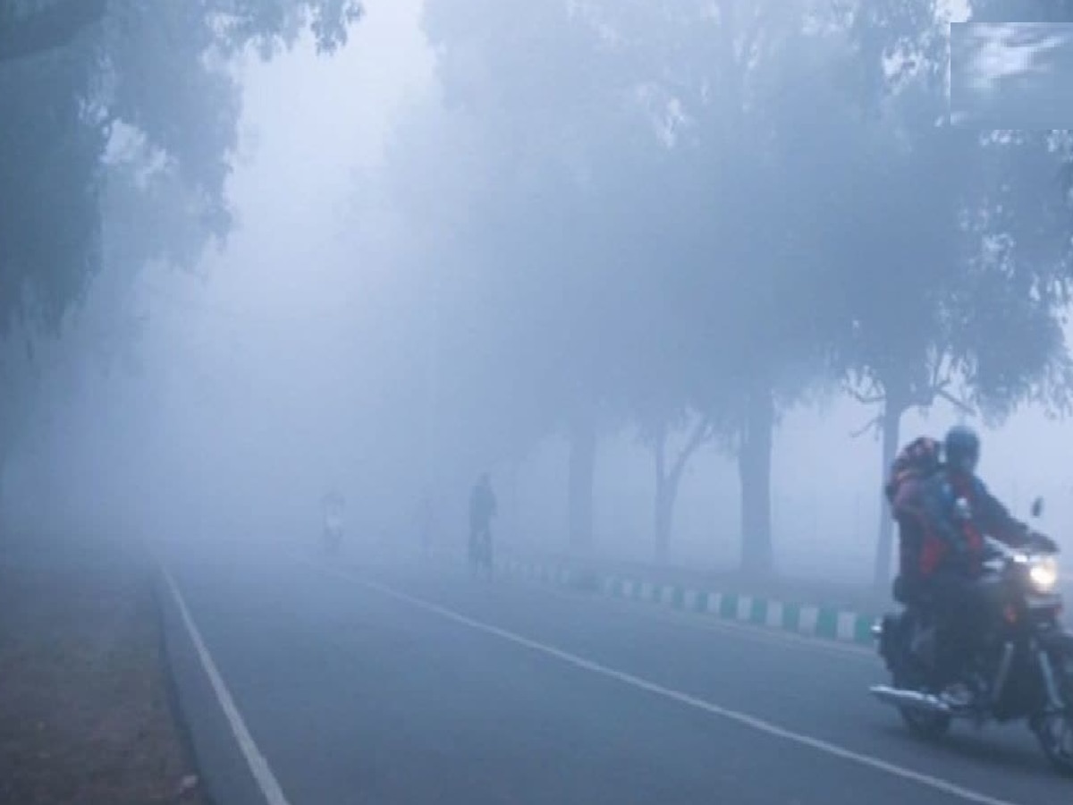 up weather update today 14 january 2026 makar sankranti IMD predicts ...