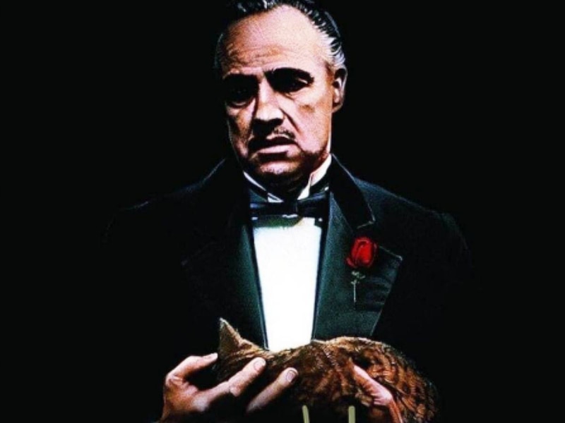 54 Years Old Highest Grossing Best Gangster Drama Film The Godfather ...