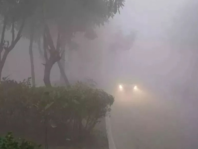 MP Weather Update today 20 january Fog alert issued for eight districts-MP में मौसम का डबल अटैक ...