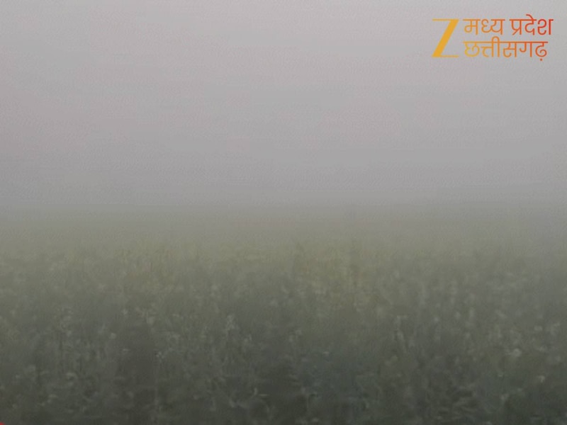 mp weather update rain alert issued for 8 districts today cold weather expected intensify due ...