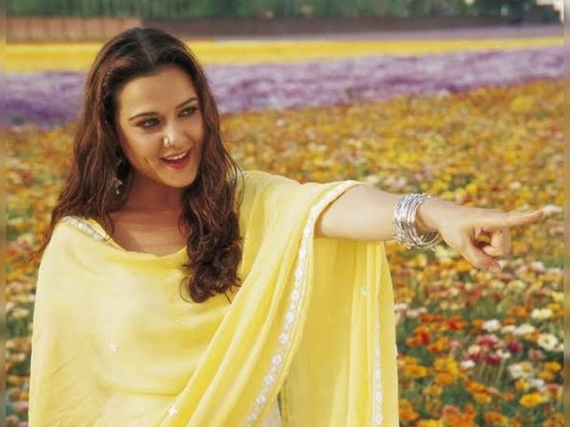 Preity Zinta spend 28 years in industry gave 40 films but these 7 ...