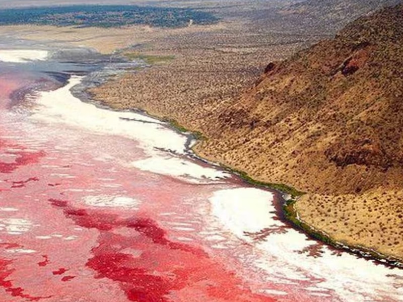Blood Red Lake In Tanzania: दुनिया की सबसे खतरनाक जगह! जहां पानी का रंग ...