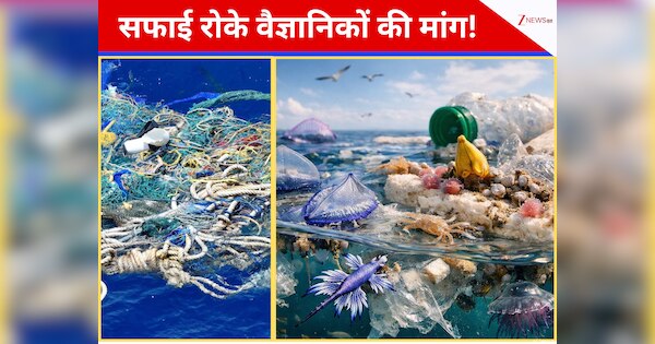Scientists question ocean plastic cleanup neuston ecosystem great ...