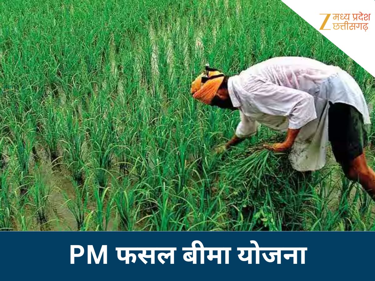 mp budget 2026 finance minister announcements rs 1299 cr for pm fasal ...