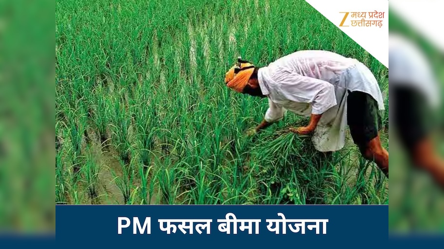 mp budget 2026 finance minister announcements rs 1299 cr for pm fasal ...