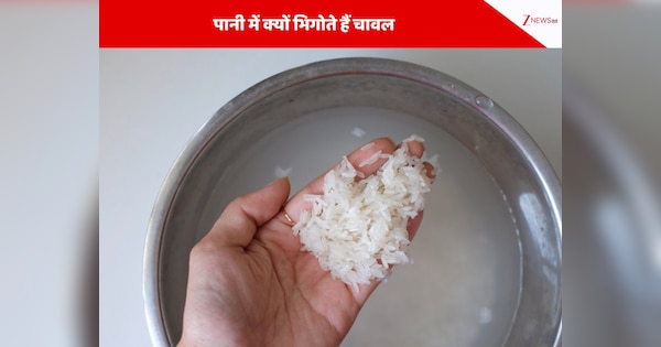 know why soaking rice is important before cooking | दादी-नानी ऐसे ही ...