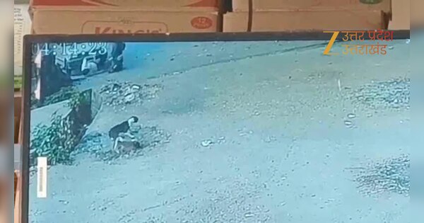 uncontrolled car trampled over two men in muzaffarnagar watch cctv ...