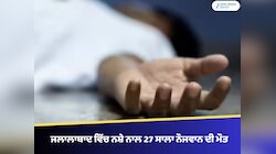Jalalabad news की ताज़ा खबरे हिन्दी में | ब्रेकिंग और लेटेस्ट न्यूज़ in ...