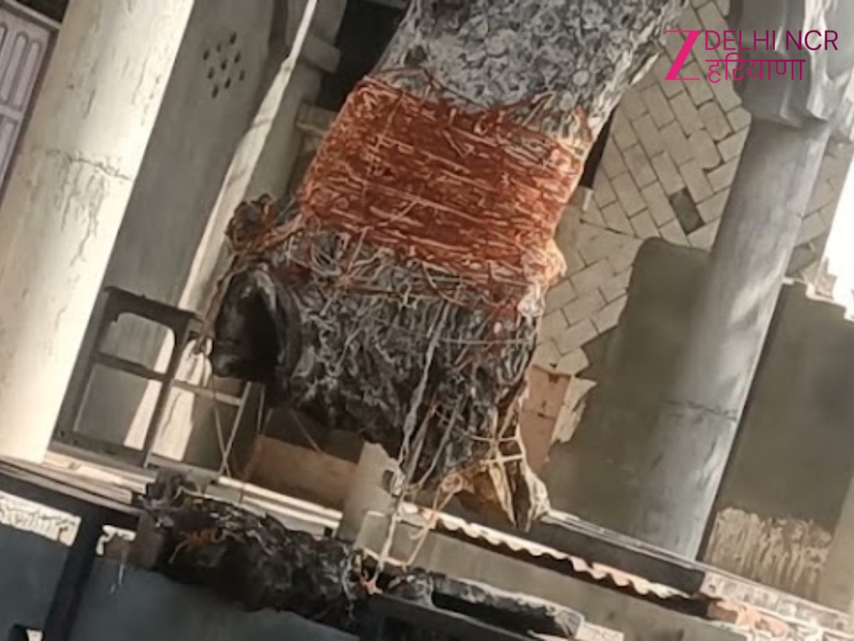 Floating Tree In Hansi: जहां बाबा जगन्नाथ पुरी महाराज ने की तपस्या ...