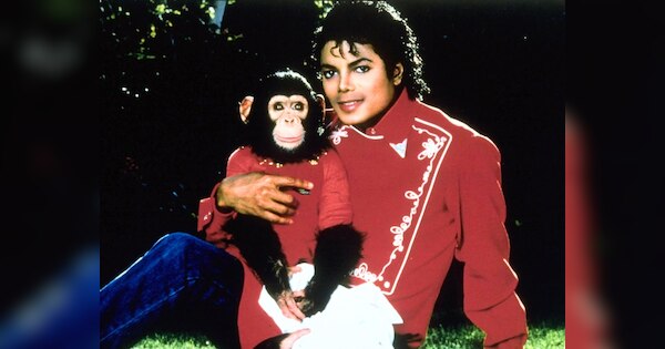 50 Years Old Late King of Pop Michael Jackson 43 Years Old Pet ...