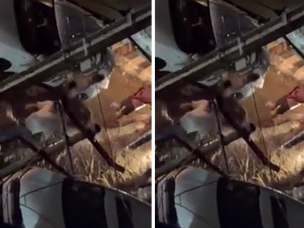 सीवानः BJP नेता मनोज सिंह के रिश्तेदारों पर हुई गोलीबारी का CCTV वीडियो ...