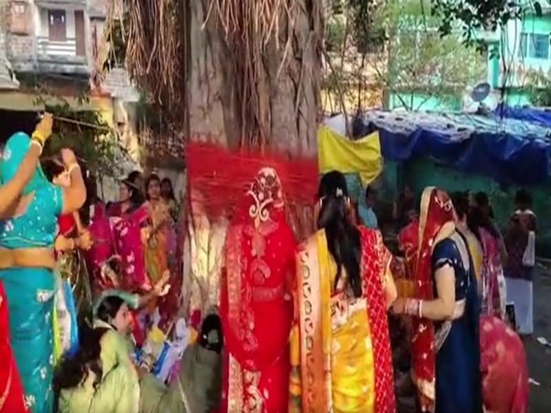 Vat Savitri 2026 Married women gathered under banyan tree and ...
