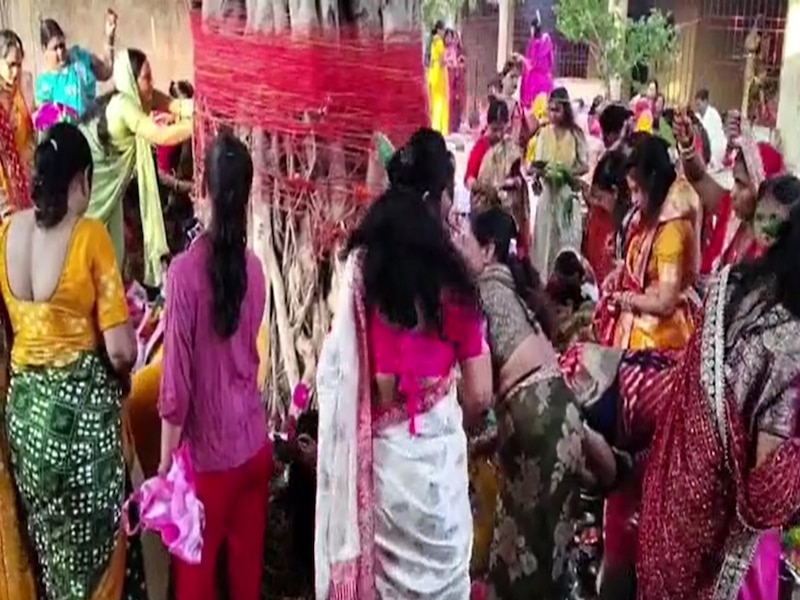Vat Savitri 2026 Married women gathered under banyan tree and ...