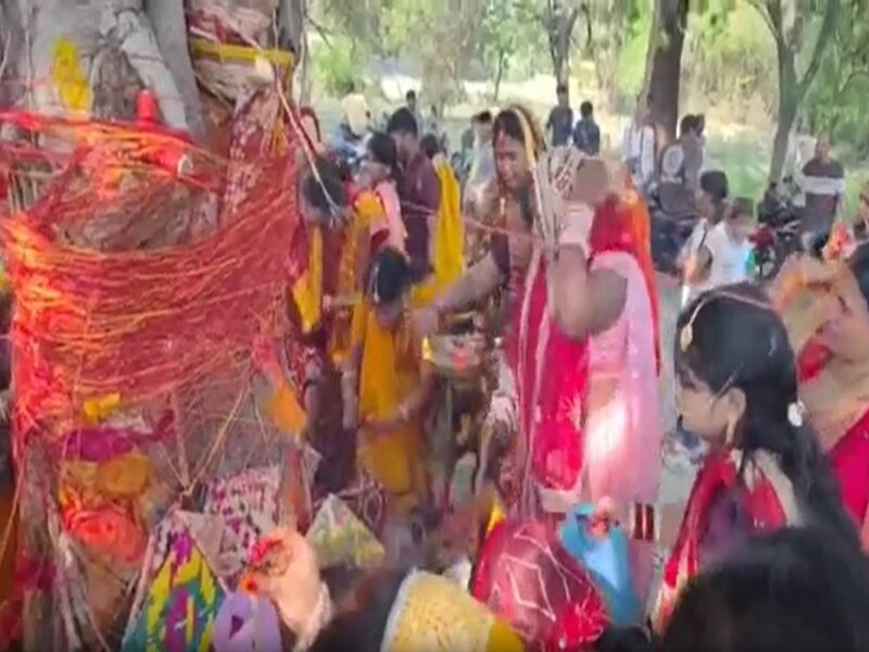 Vat Savitri 2026 Married women gathered under banyan tree and ...