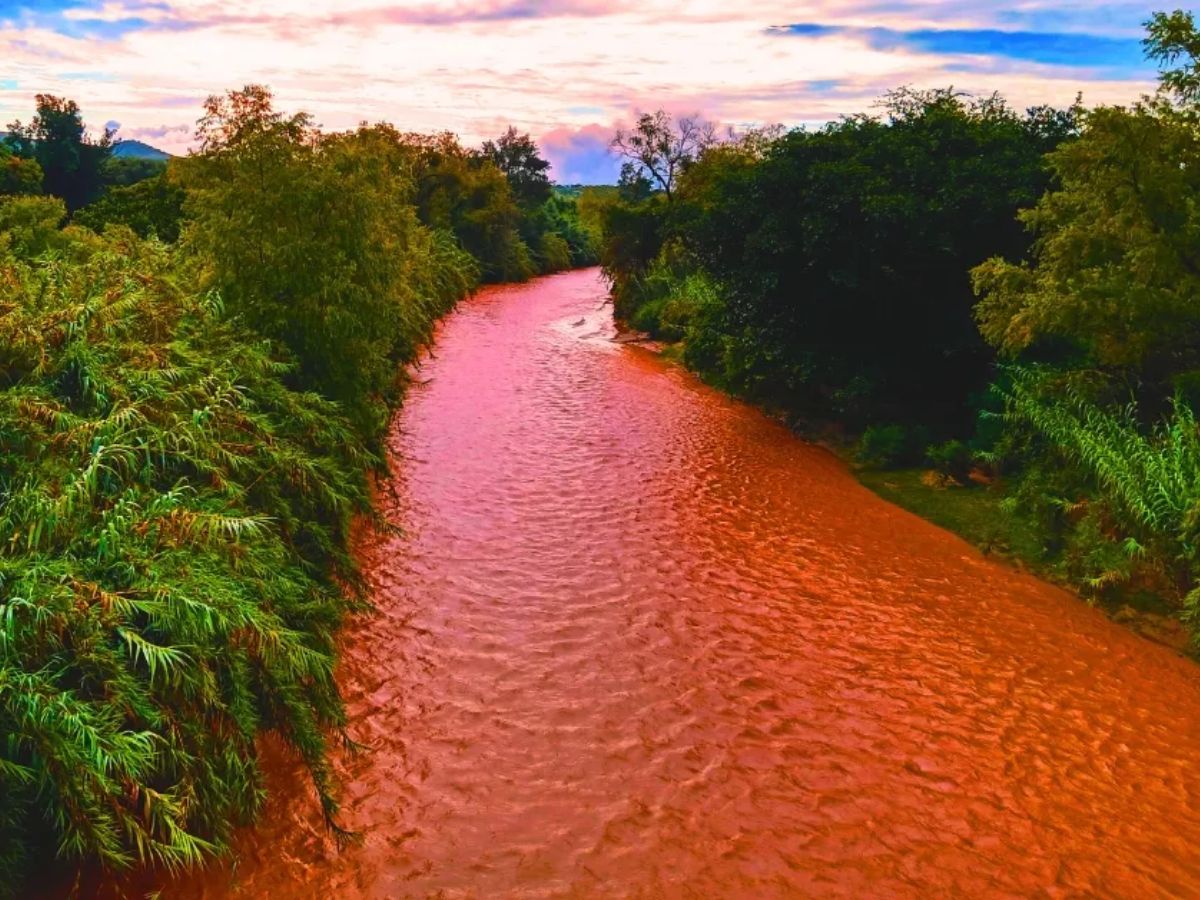 which is called blood river of India red water flows like blood ...