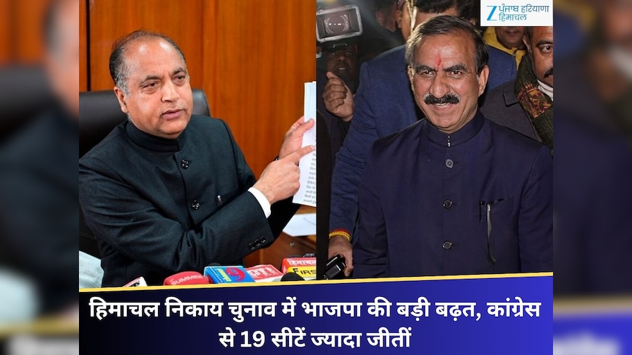 himachal nikay chunav result bjp leads congress by 19 seats municipal ...