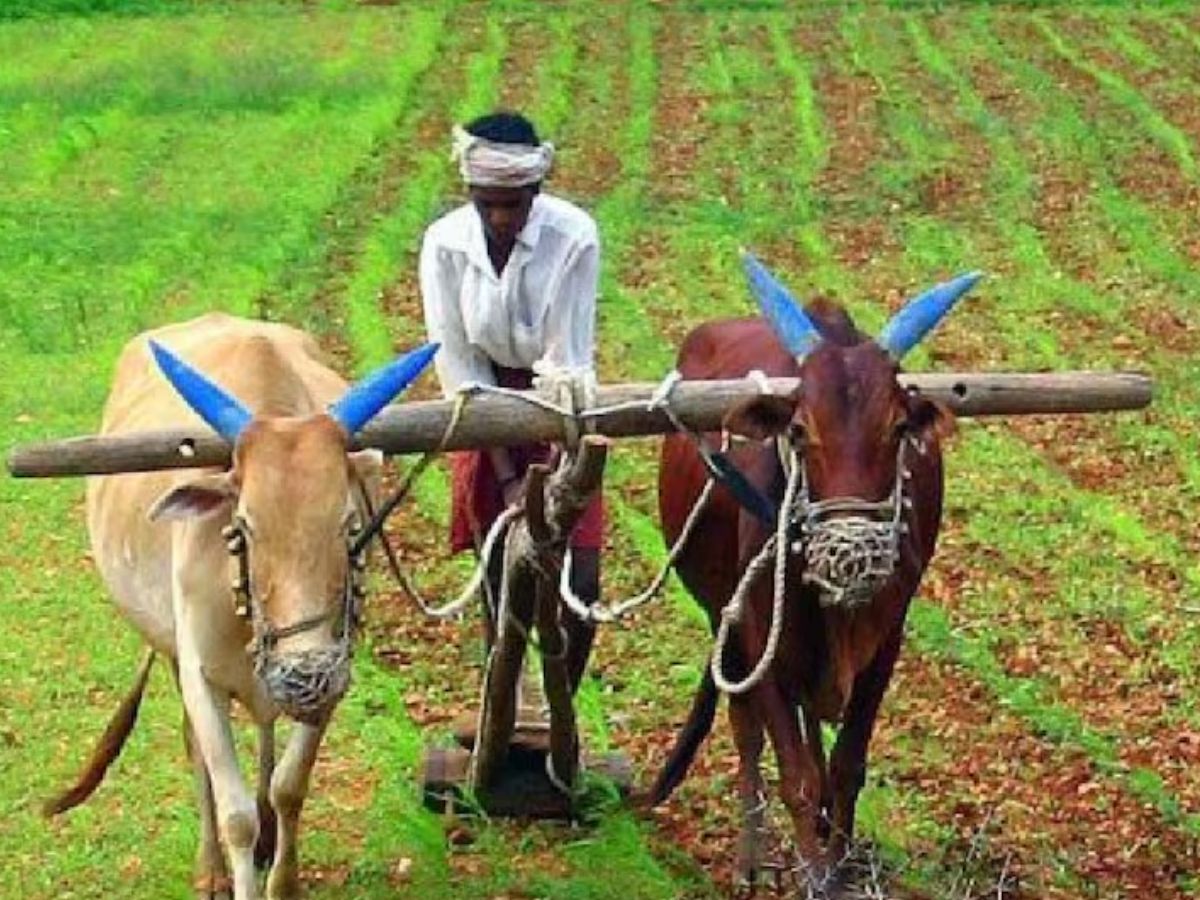 PM Kisan Samman Nidhi Yojana New Update Will You Receive 2,000 Or Not ...