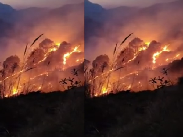 chakrata tyuni forest fire apple orchards damaged panic grips residents ...