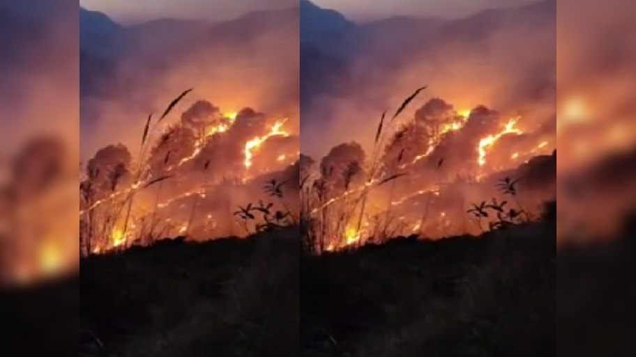 chakrata tyuni forest fire apple orchards damaged panic grips residents ...