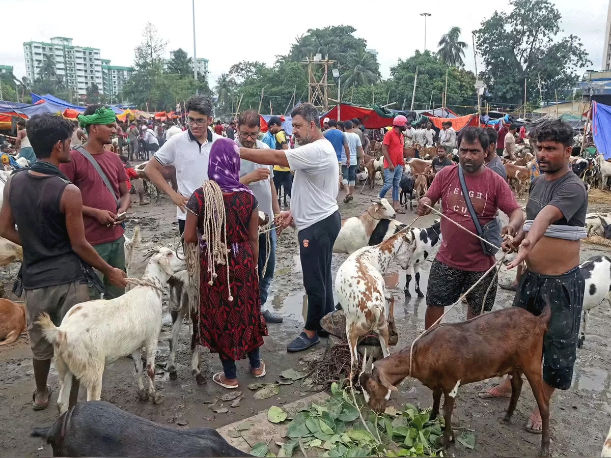 khandwa police on alert mode ahead of bakrid, 400 personnel deployed ...